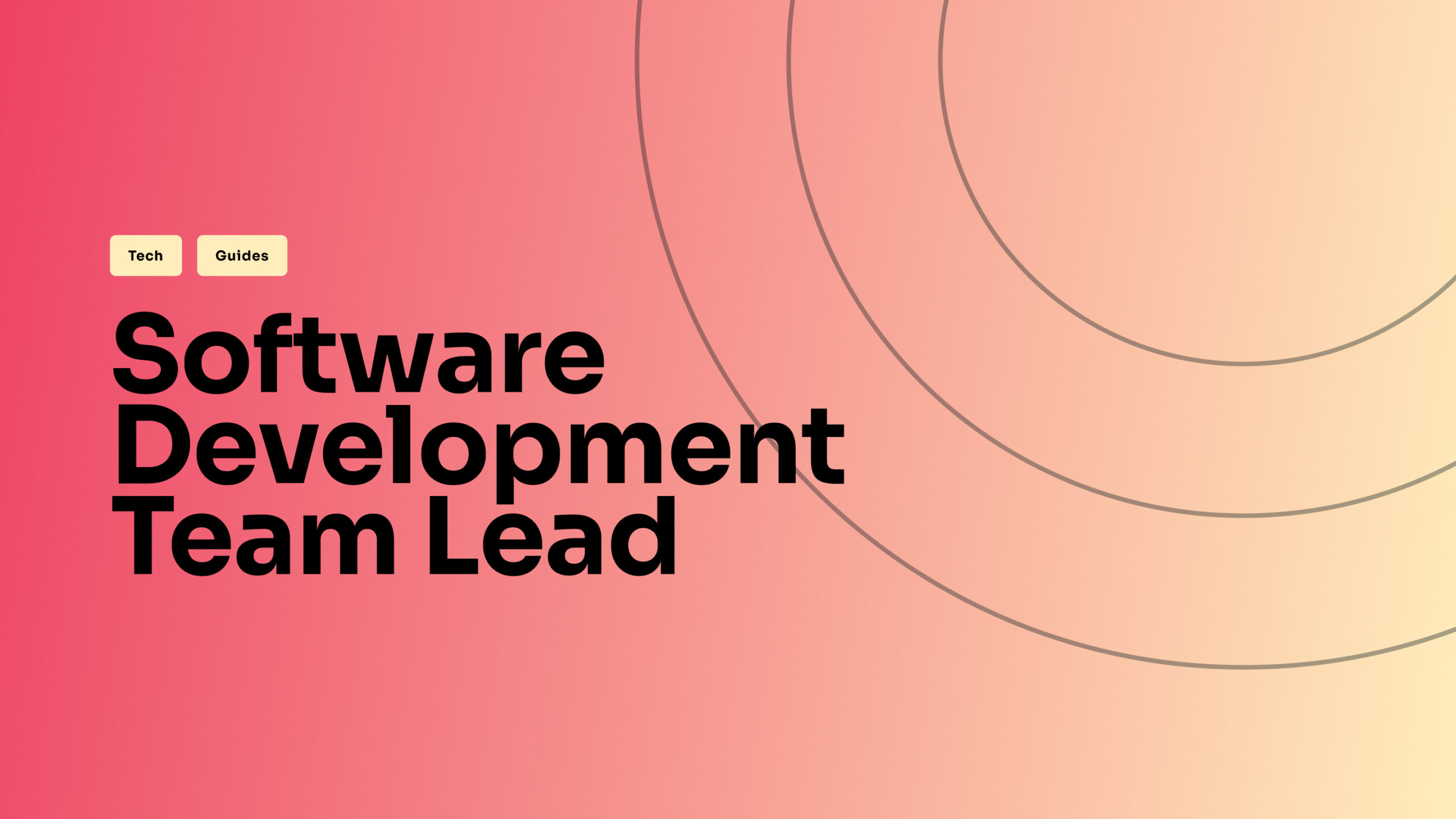 Software Team Lead: Job Description, Roles & Responsibilities - Sloboda ...